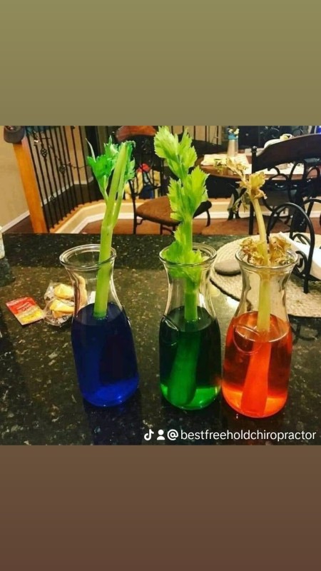 The Brain Gut Connection - Hometown Family Wellness Center